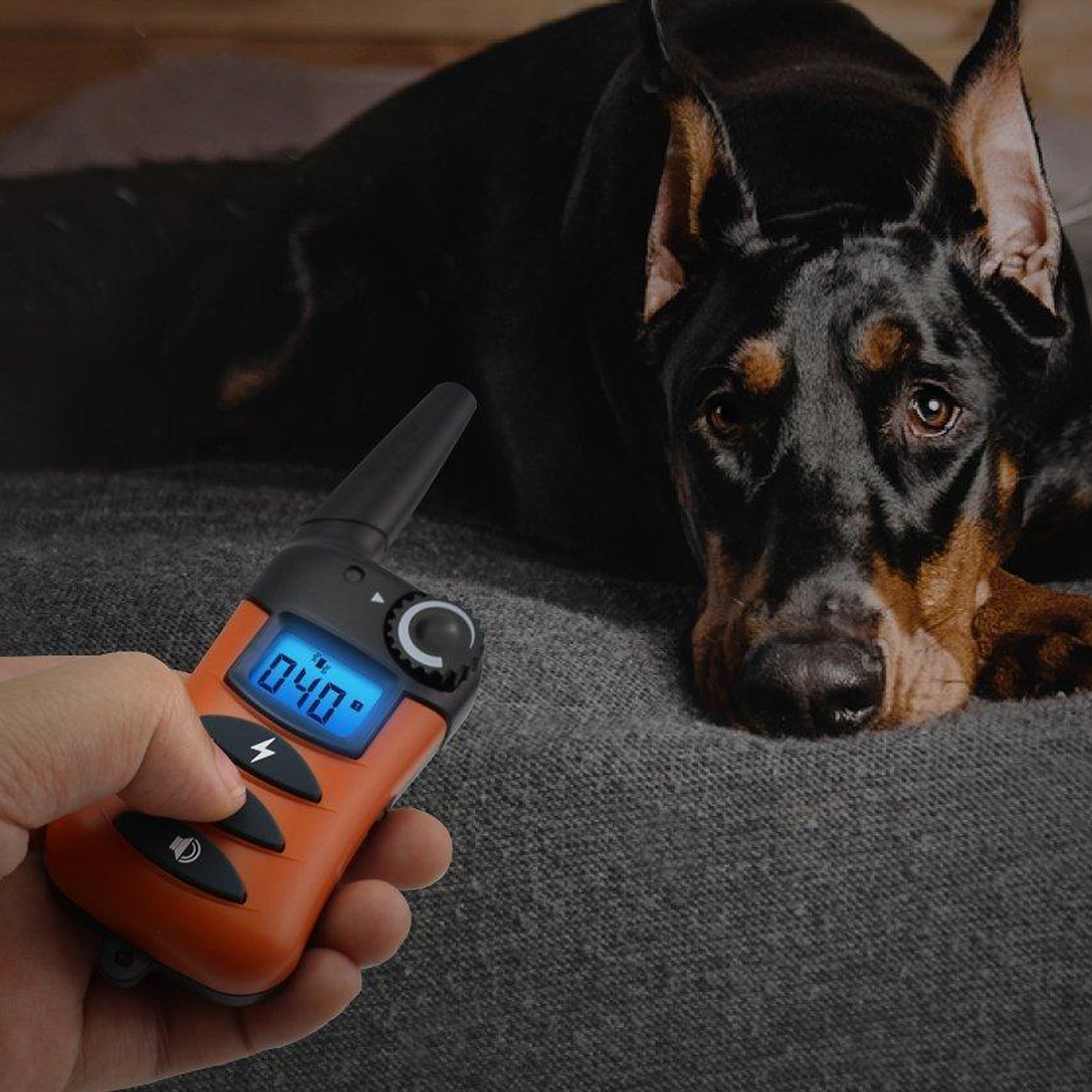 IPETS 620 2P